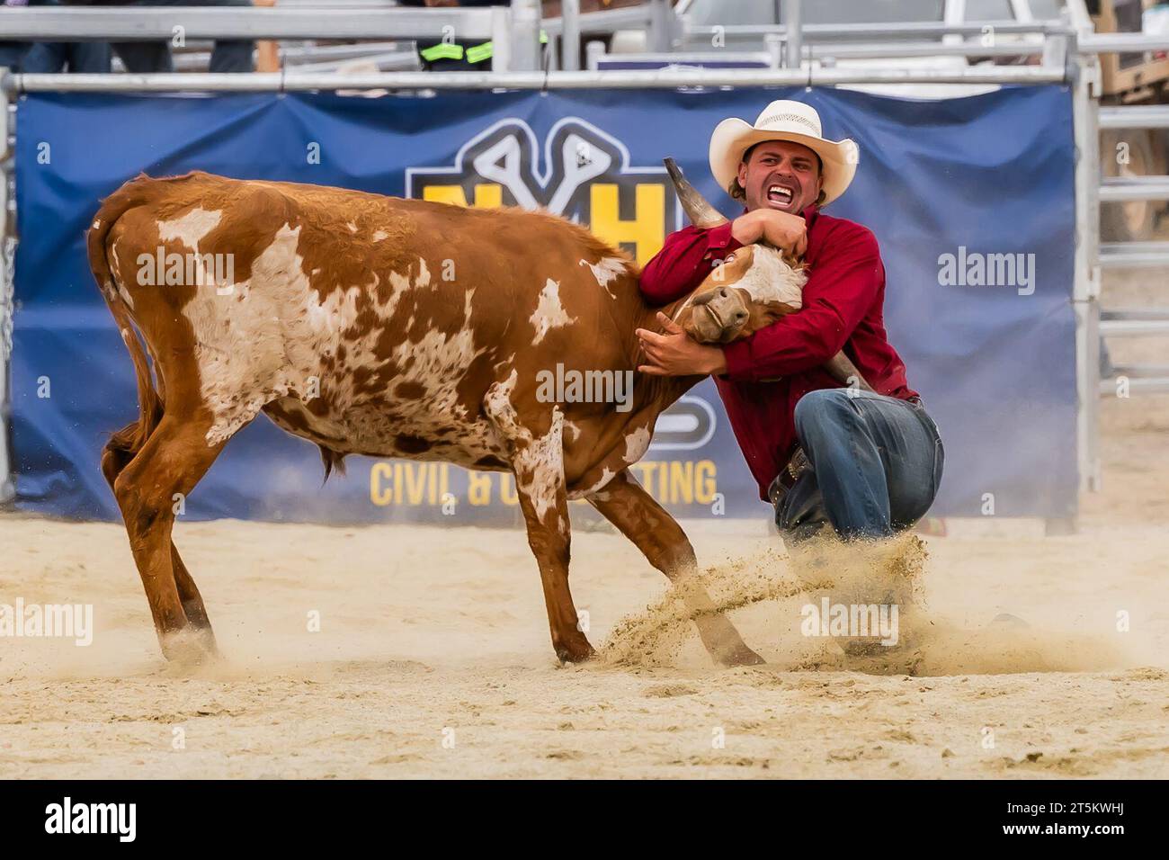 Canberra. 5th Nov, 2023. This photo taken on Nov. 5, 2023 shows a ...