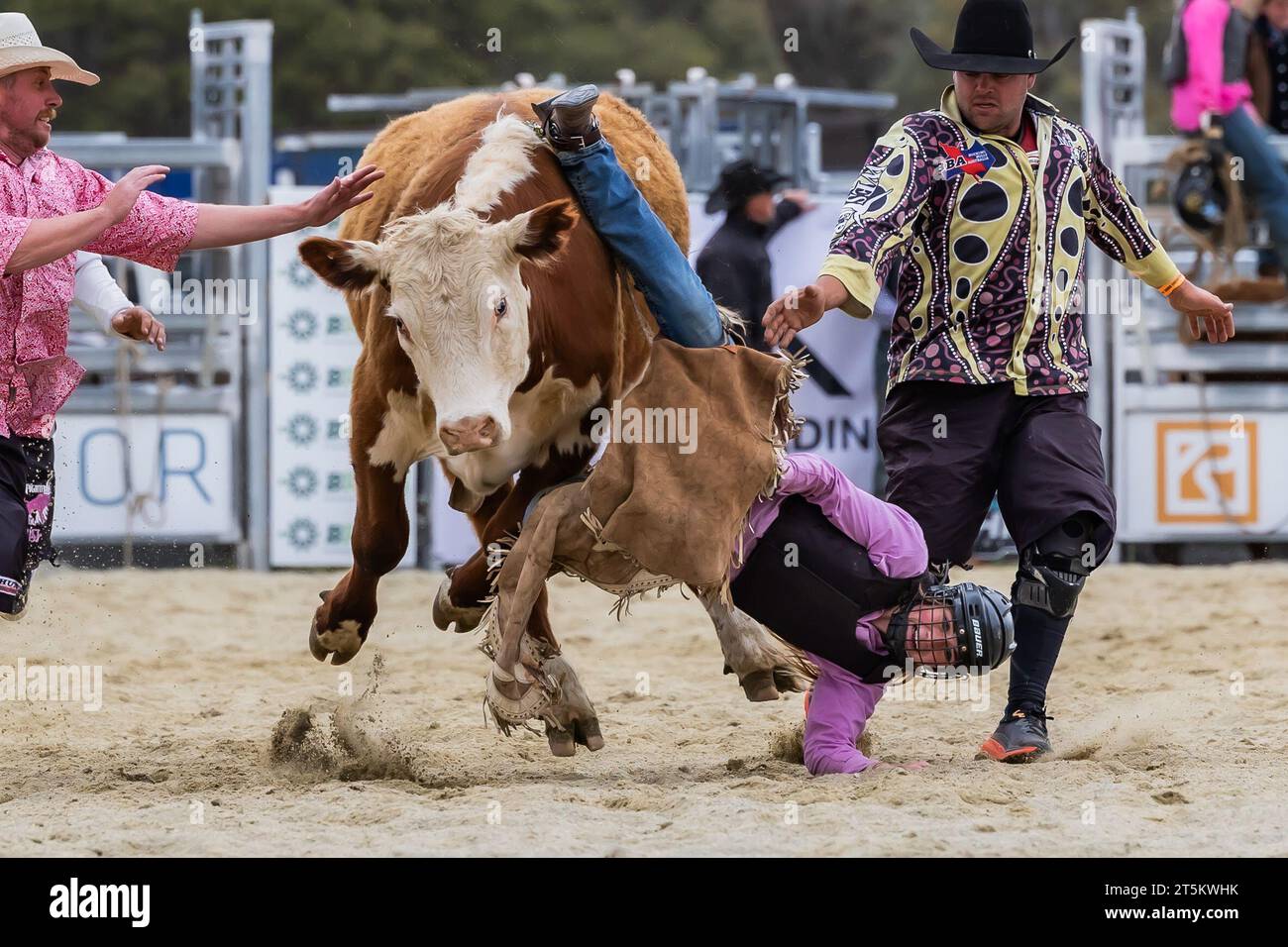 Canberra. 5th Nov, 2023. This photo taken on Nov. 5, 2023 shows a ...