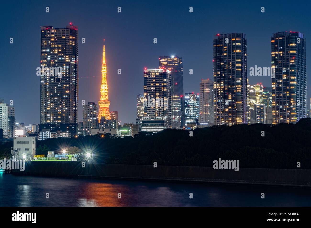 Enchanting Tokyo Nights: A Captivating Symphony of Lights and Shadows ...