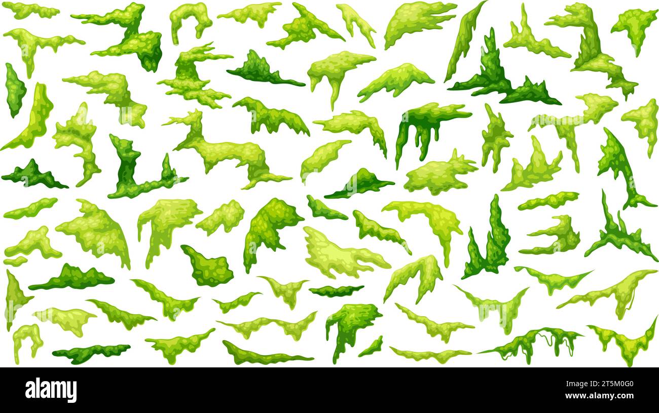 Lichens illustration hi-res stock photography and images - Alamy