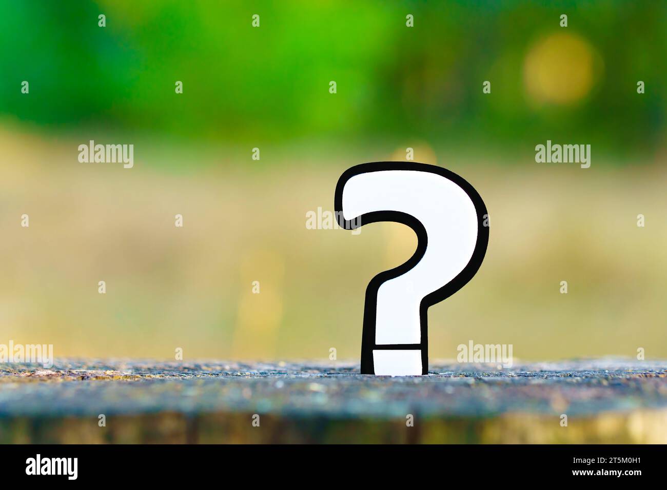 Close-up of a plastic question mark symbol placed on a tree stump in the woods. Curiosity and ...