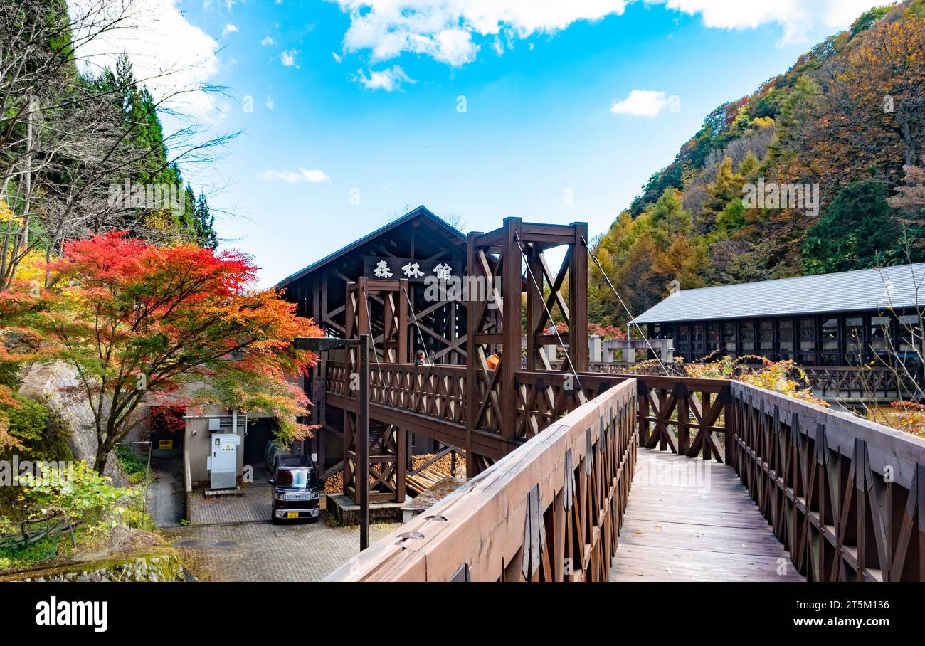 Hinohara tokyo citizens forest hi-res stock photography and images - Alamy