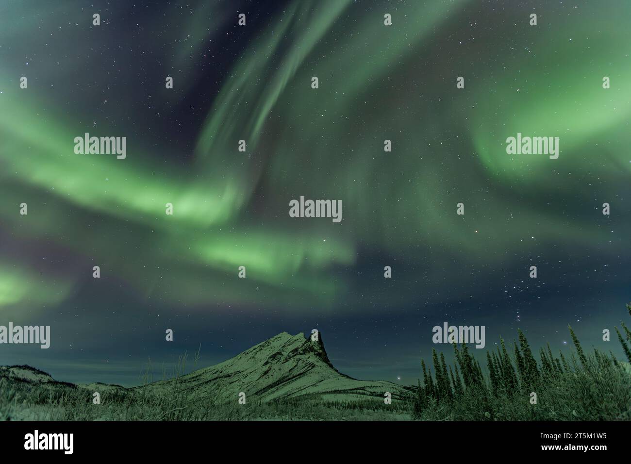 Northern Lights at Dalton Highway, Brooks Range, Alaska, USA, Winter ...