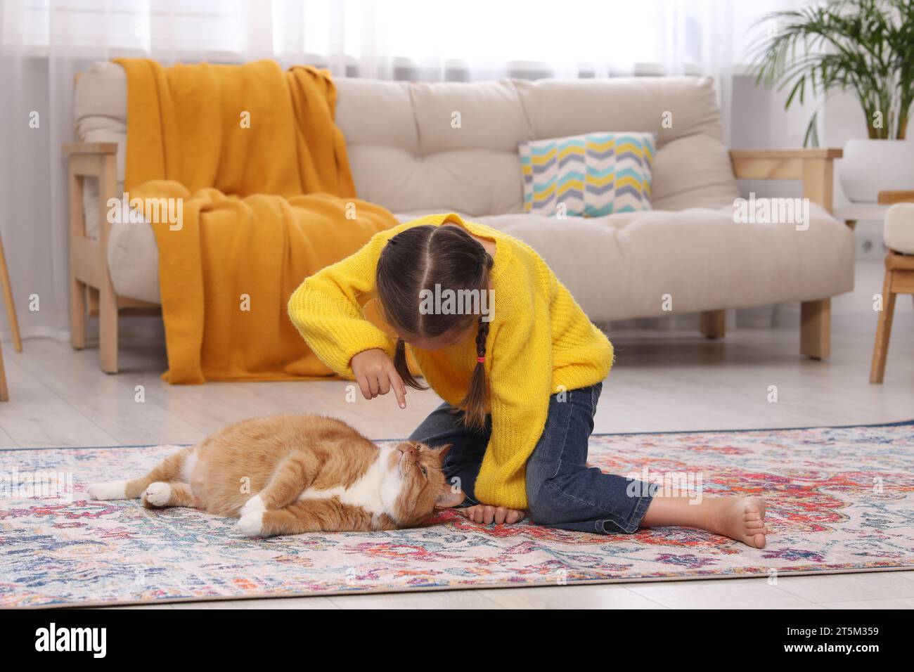 Little girl and cute ginger cat on carpet at home Stock Photo - Alamy