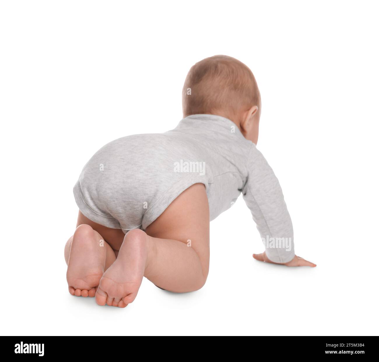 Cute little baby crawling on white background Stock Photo - Alamy