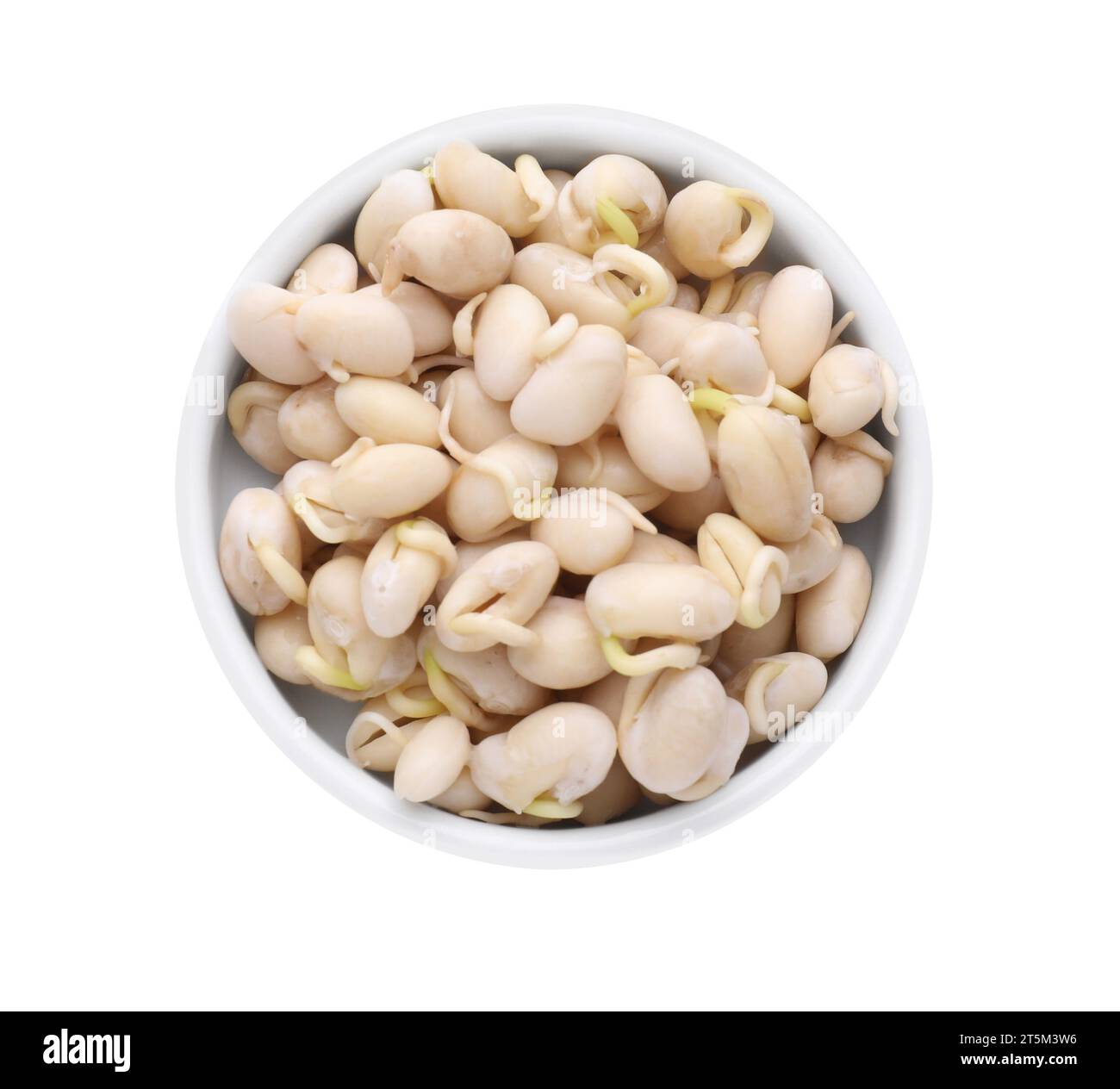 Dish with sprouted kidney beans isolated on white, top view Stock Photo ...