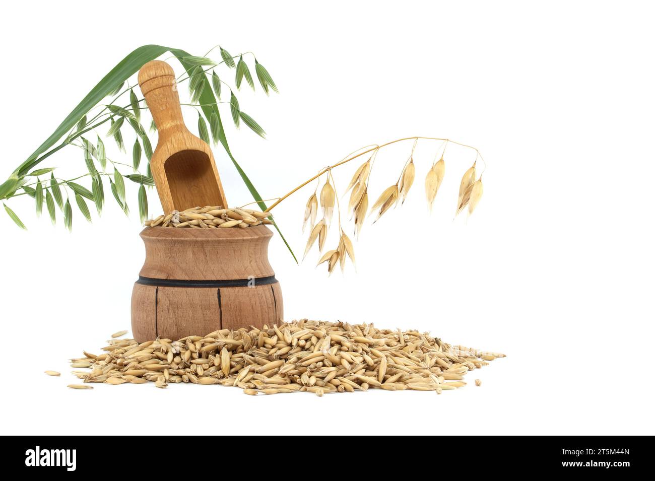 Heap of organic oat grains with hulls or husks isolated on a white ...