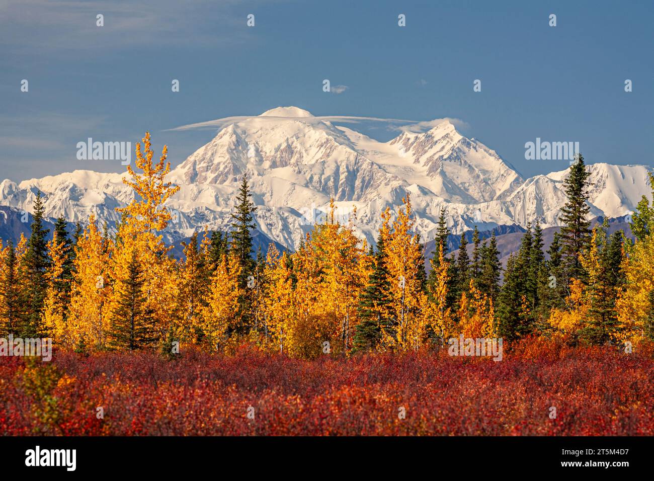 Mount Denali, Autumn, Denali Highway, Alaska, USA Stock Photo - Alamy