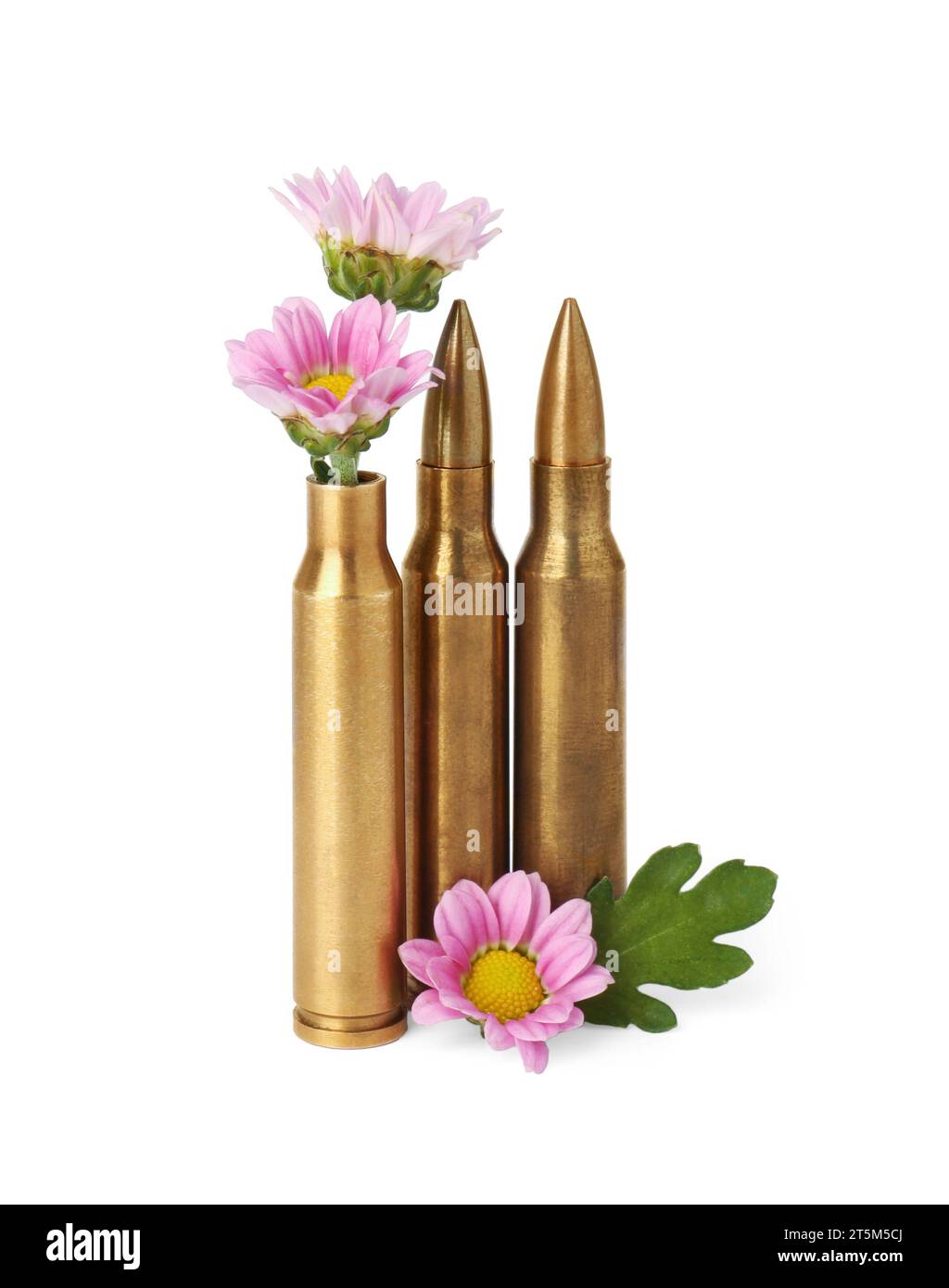 Bullets cartridge case beautiful hi-res stock photography and images ...