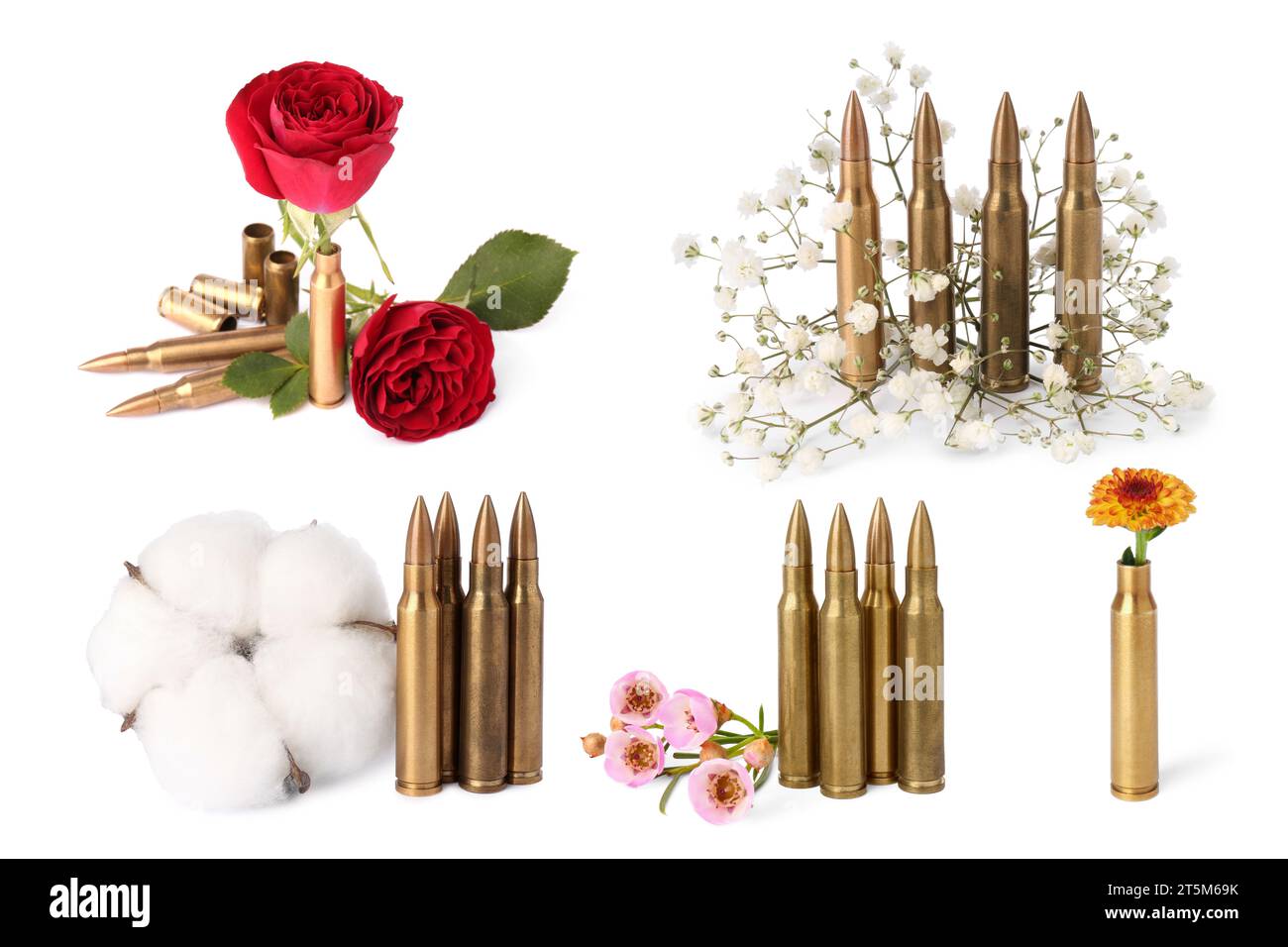 Set of bullets and beautiful flowers isolated on white Stock Photo - Alamy