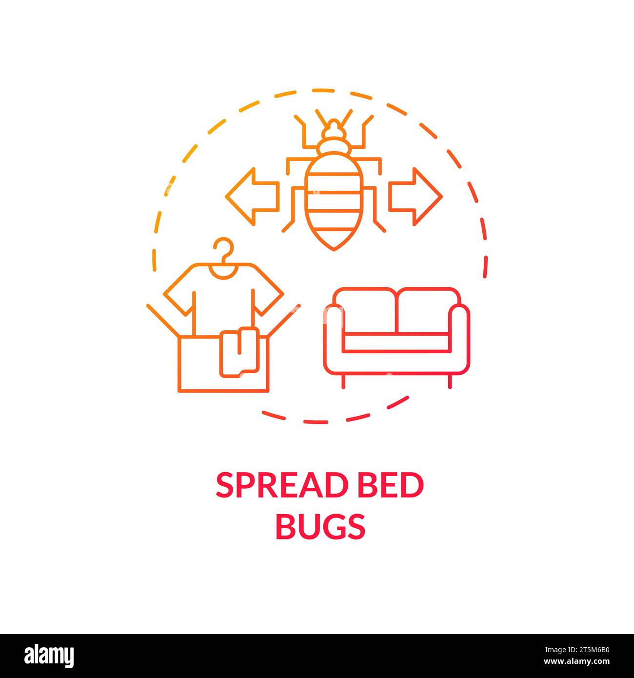 Bed bugs color hi-res stock photography and images - Alamy