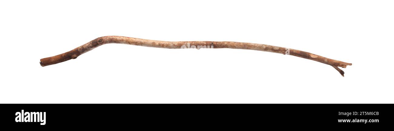 One old wooden stick isolated on white Stock Photo - Alamy