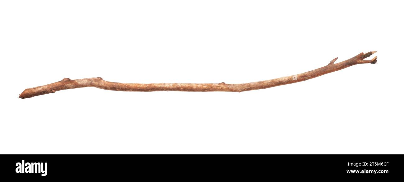 One old wooden stick isolated on white Stock Photo - Alamy