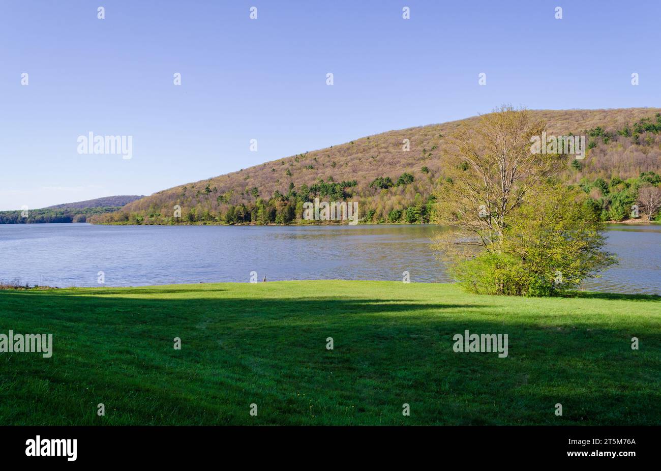 Quaker Lake Area at Allegany State Park in New York State Allegany ...