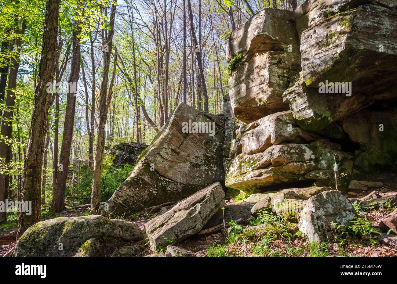 Thunder Rocks Area of Allegany State Park in New York State Stock Photo ...