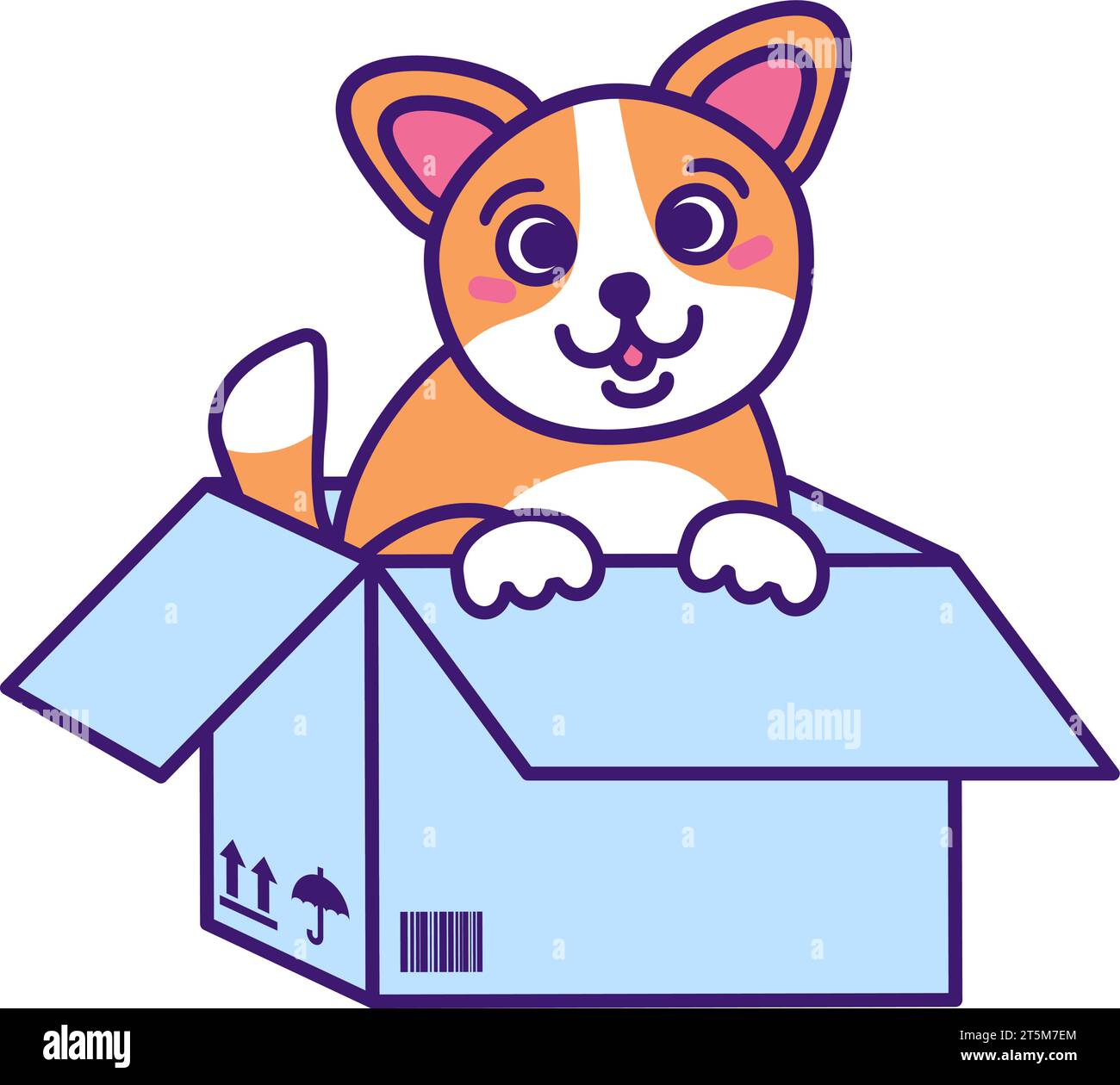 Cute small adopt funny puppy sits in cardboard box and waits for owner ...