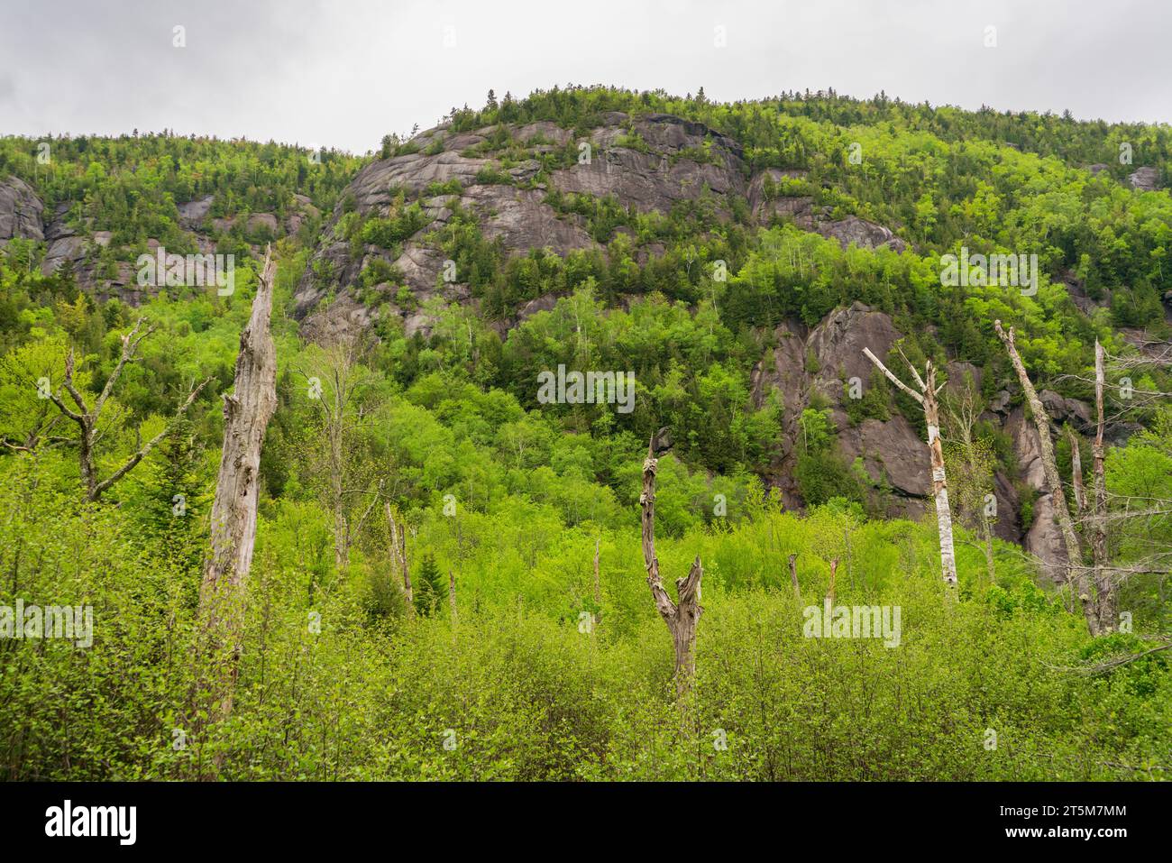 Upland new york hi-res stock photography and images - Alamy