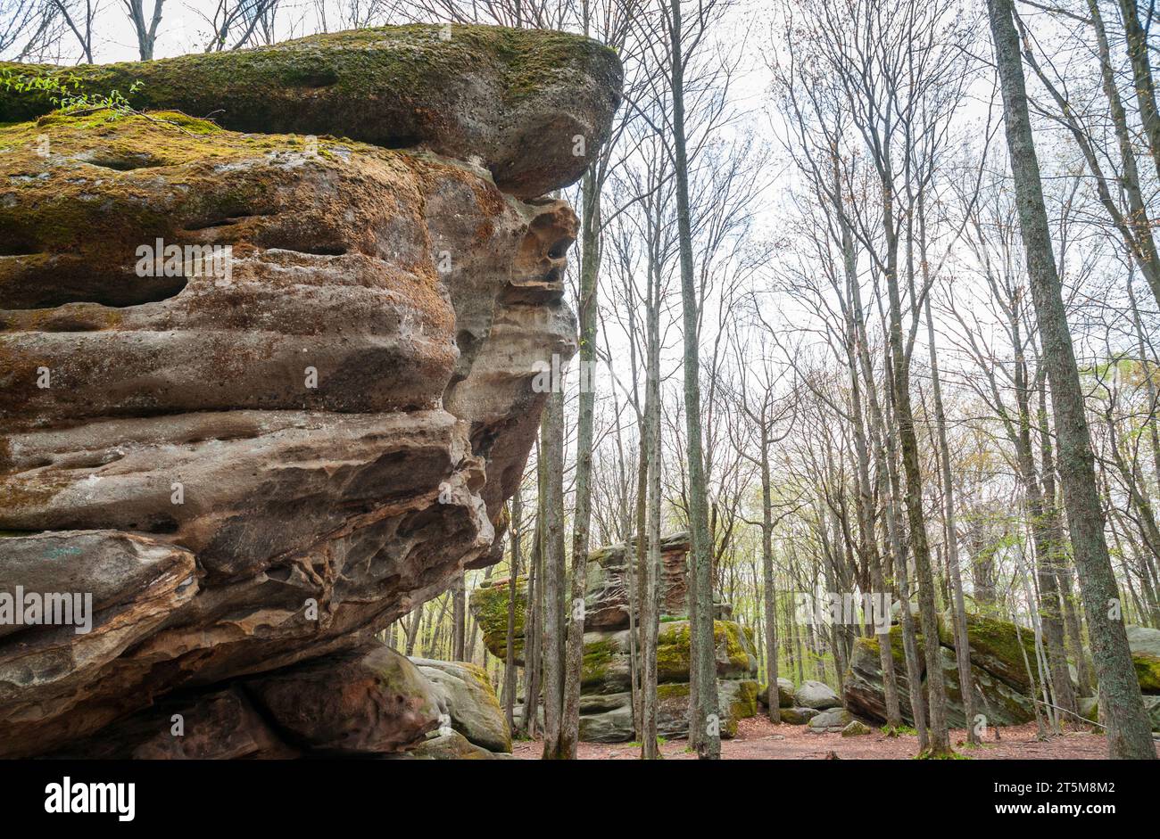 Thunder Rocks Area of Allegany State Park in New York State Stock Photo ...