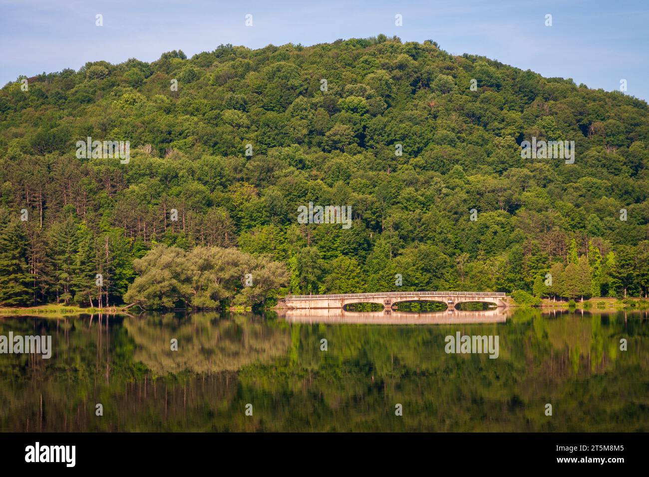 Quaker Lake Area at Allegany State Park in New York State Allegany ...