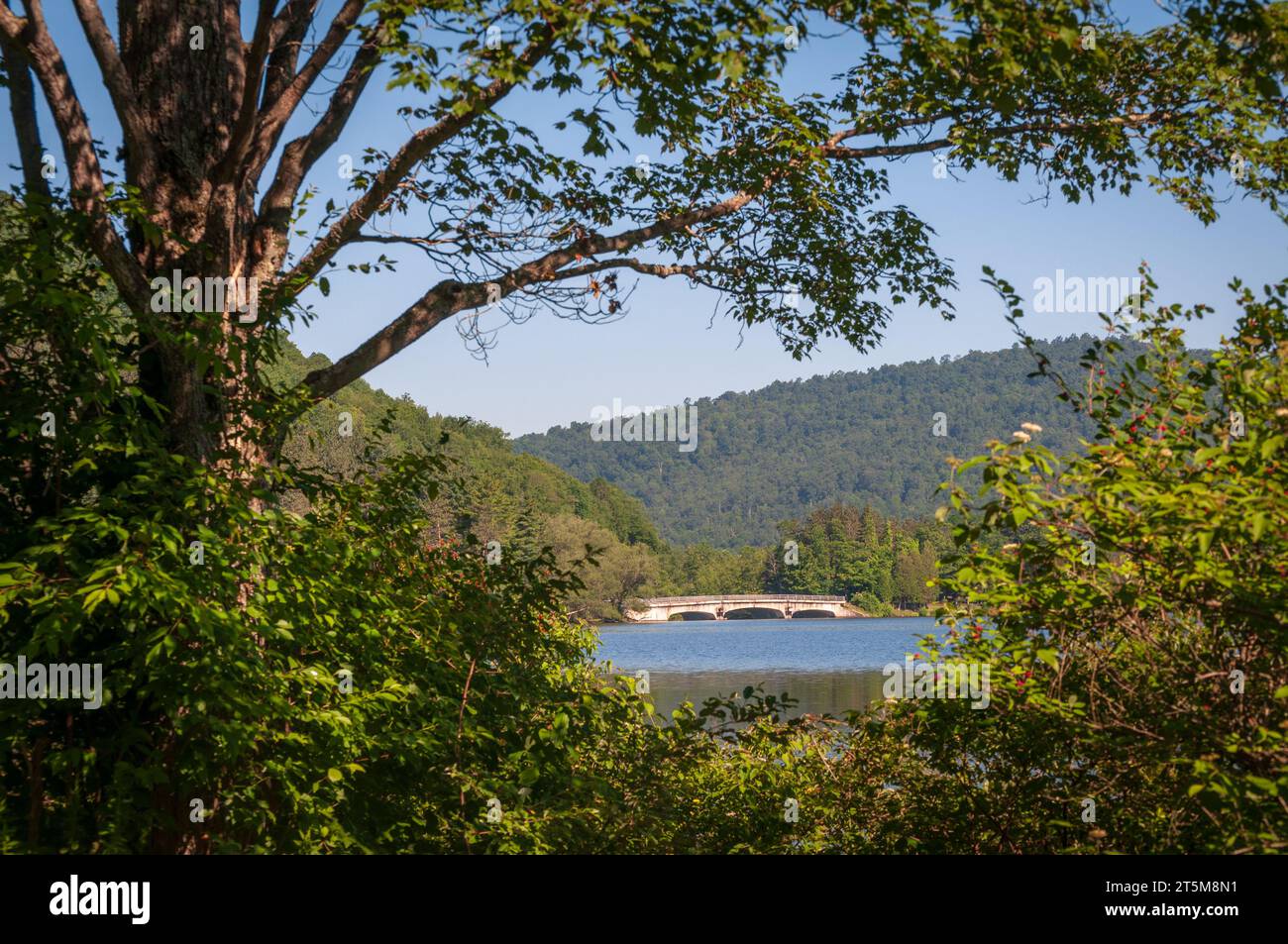 Quaker Lake Area at Allegany State Park in New York State Allegany ...