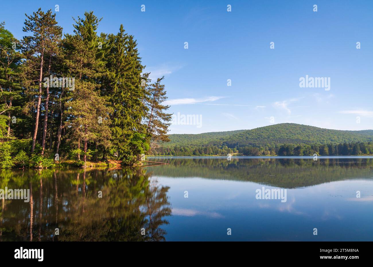 Quaker Lake Area at Allegany State Park in New York State Allegany ...
