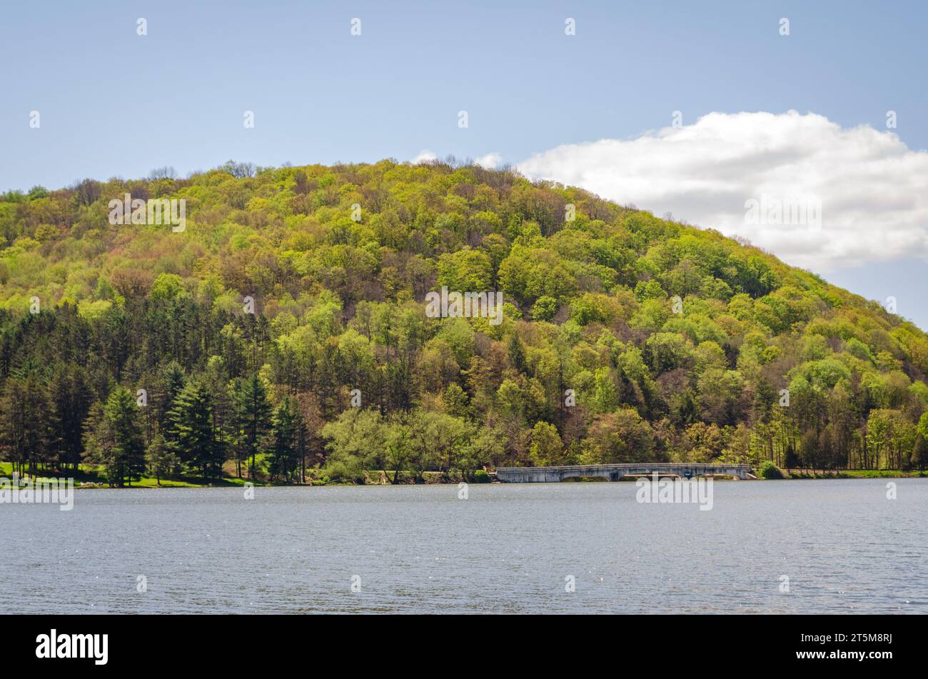 Quaker Lake Area at Allegany State Park in New York State Allegany ...