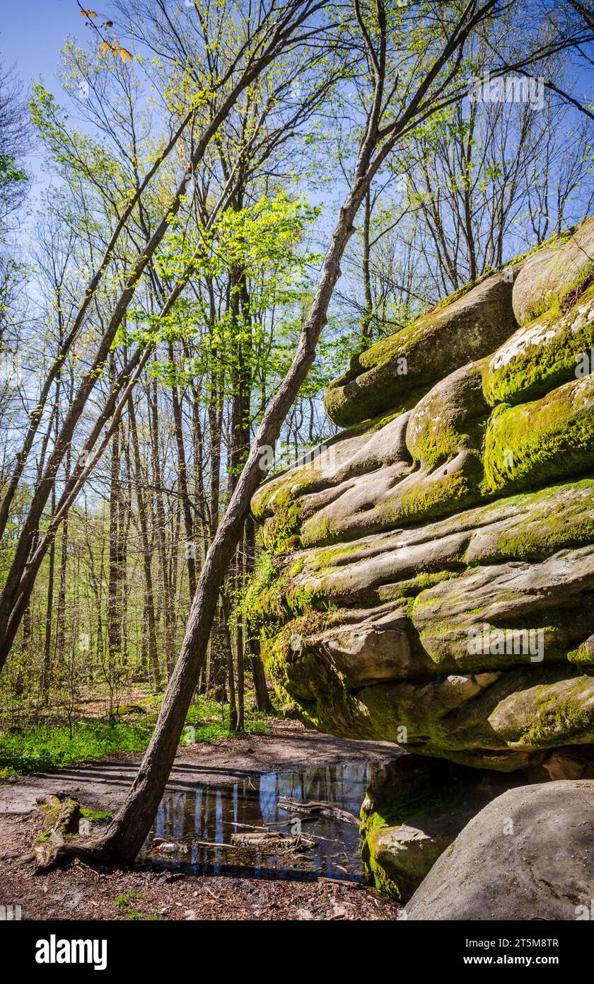 Thunder Rocks Area of Allegany State Park in New York State Stock Photo ...