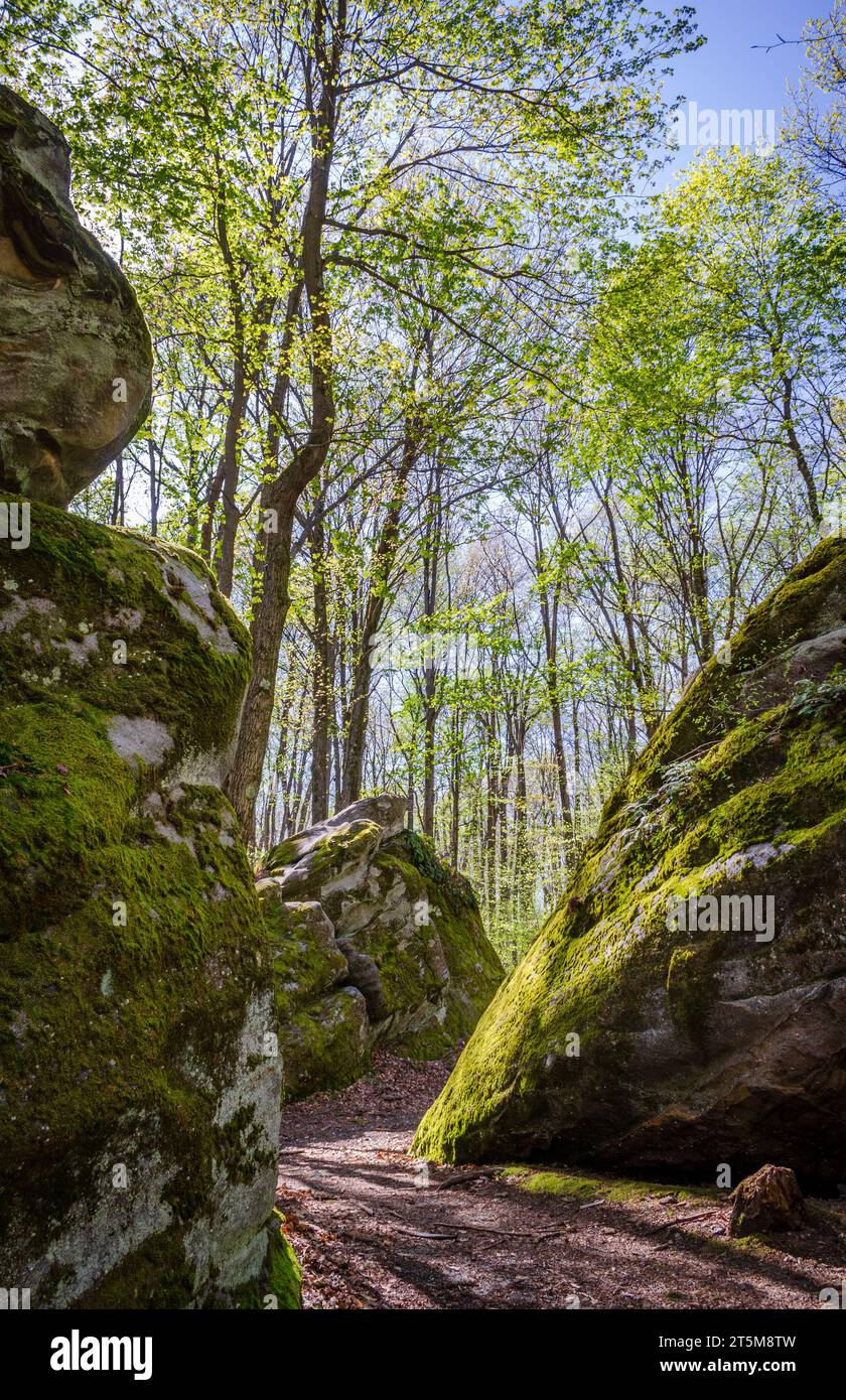 Thunder Rocks Area of Allegany State Park in New York State Stock Photo ...