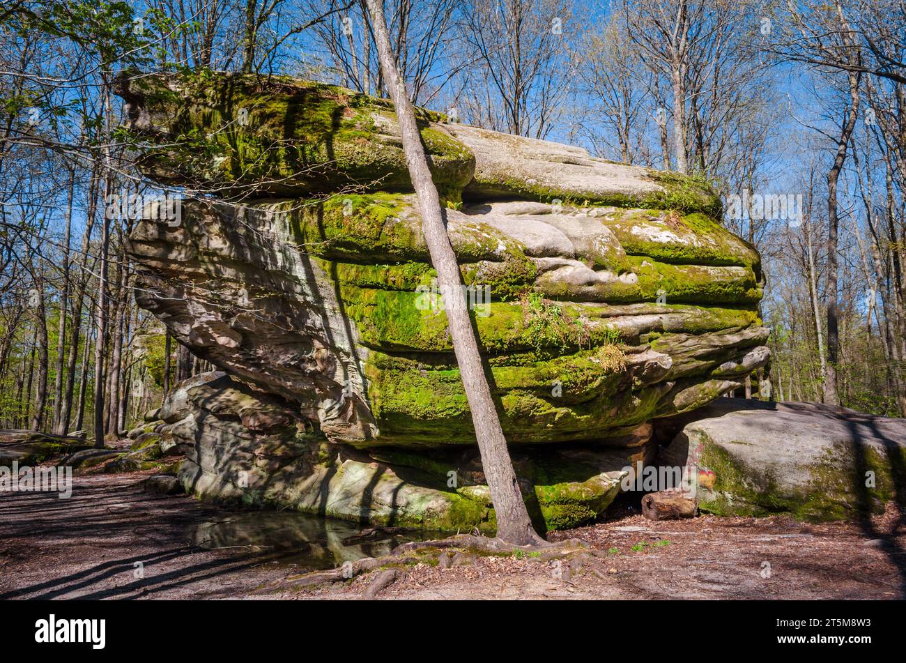 Thunder Rocks Area of Allegany State Park in New York State Stock Photo ...