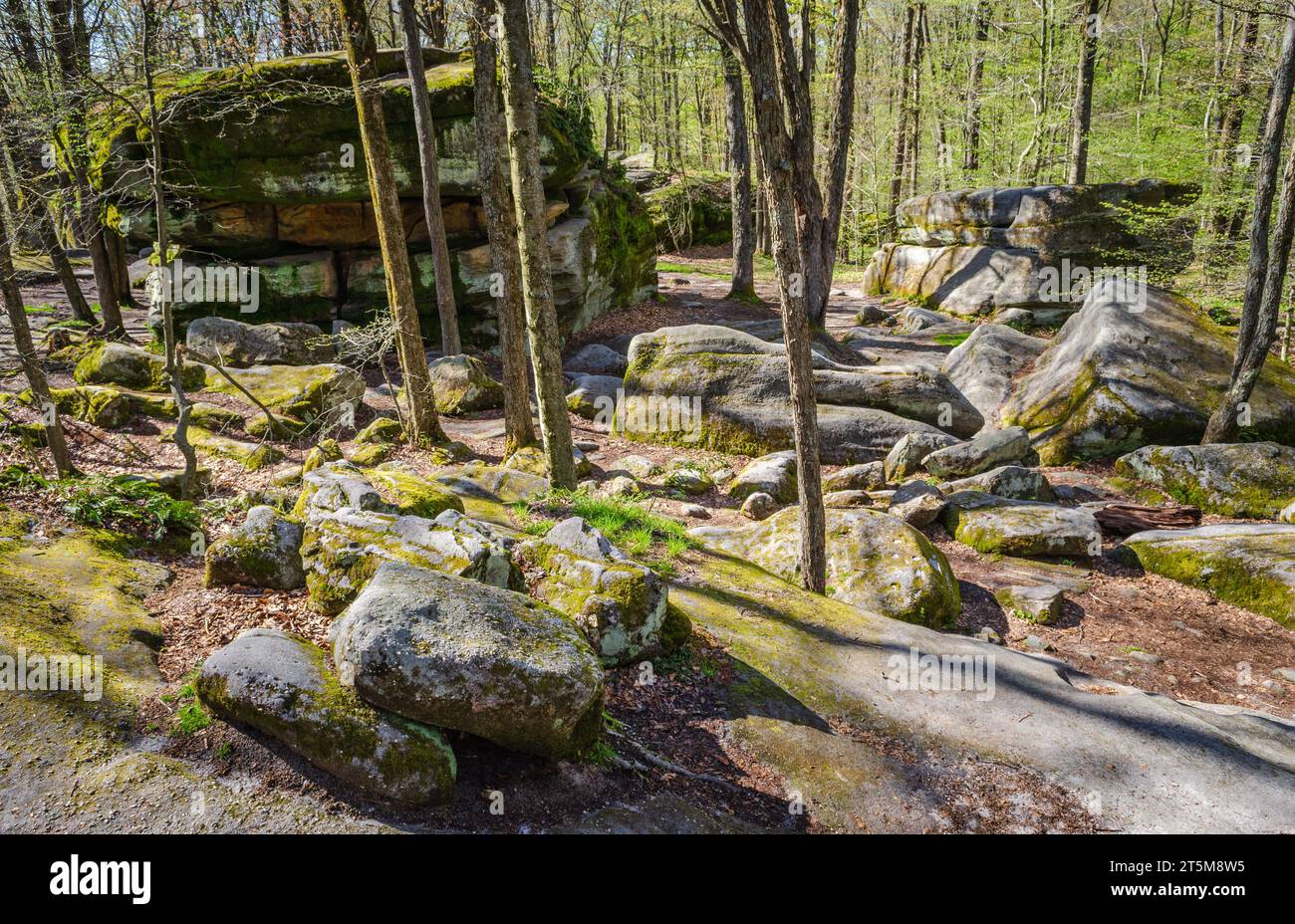 Thunder Rocks Area of Allegany State Park in New York State Stock Photo ...