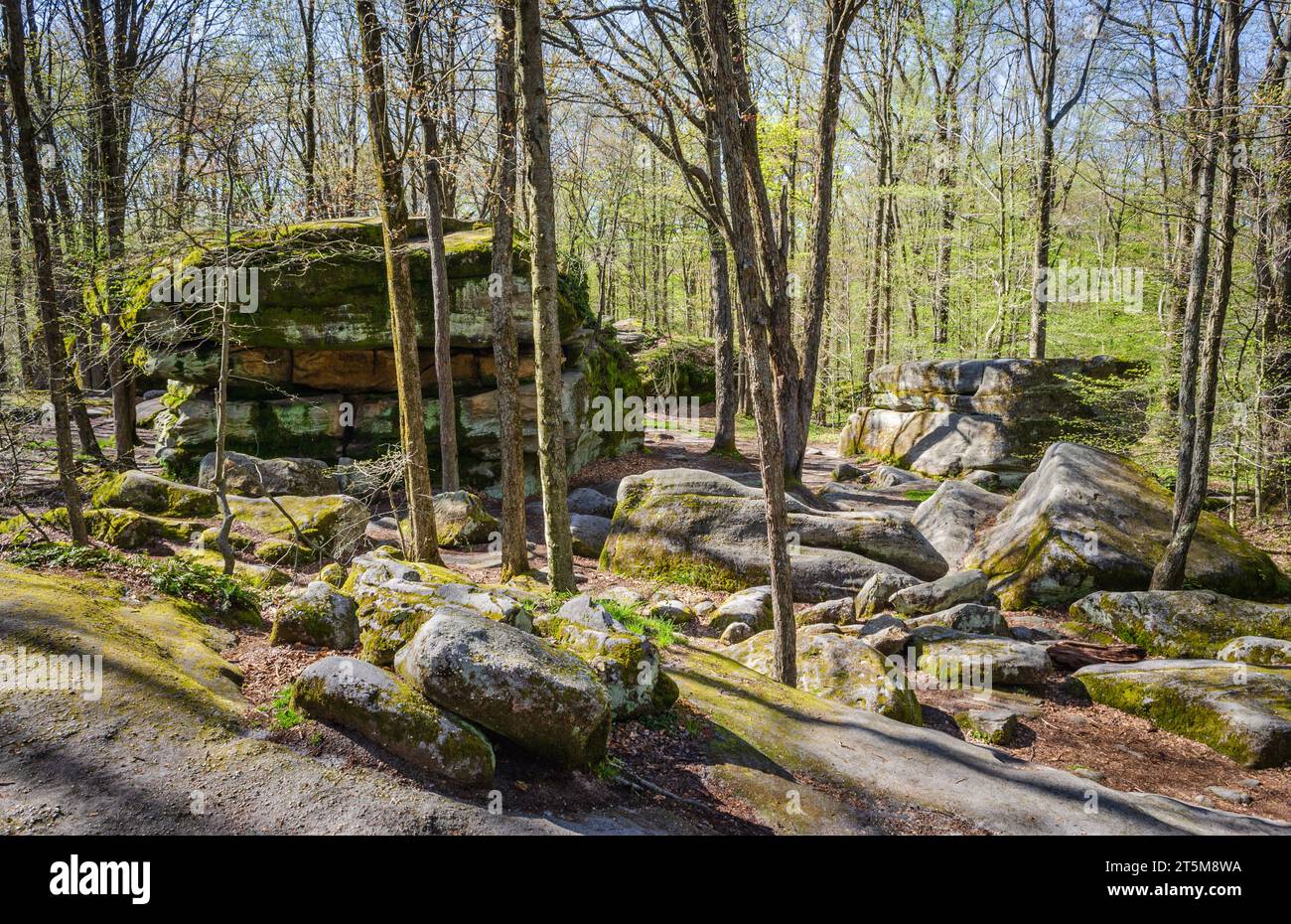 Thunder Rocks Area of Allegany State Park in New York State Stock Photo ...