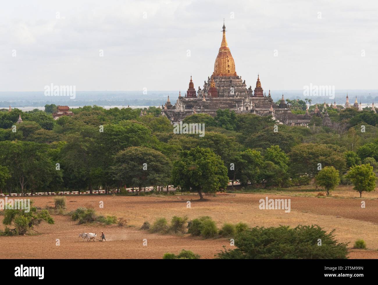 BAGAN TEMPLE MYANMAR Stock Photo - Alamy