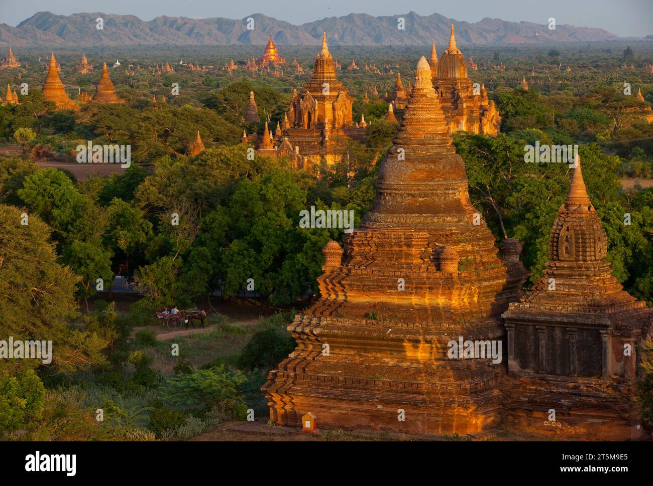 BAGAN TEMPLE MYANMAR Stock Photo - Alamy