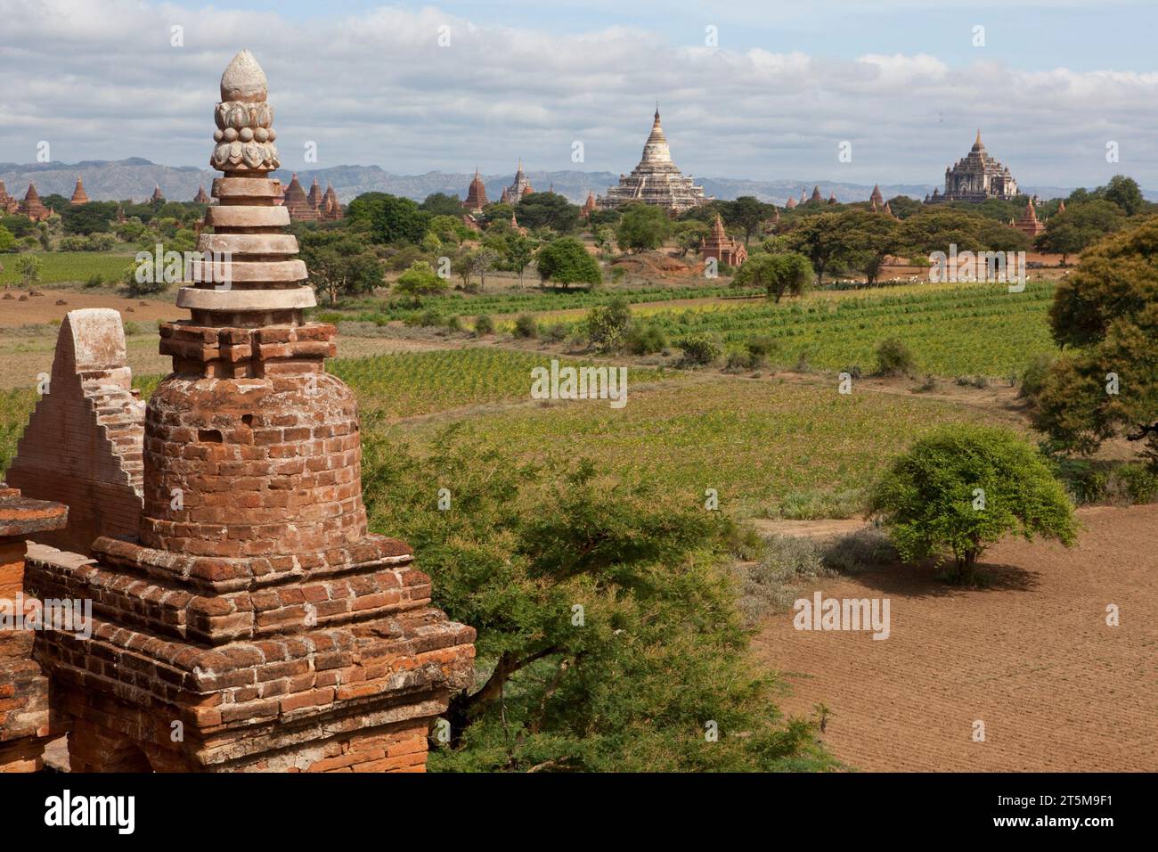 BAGAN TEMPLE MYANMAR Stock Photo - Alamy