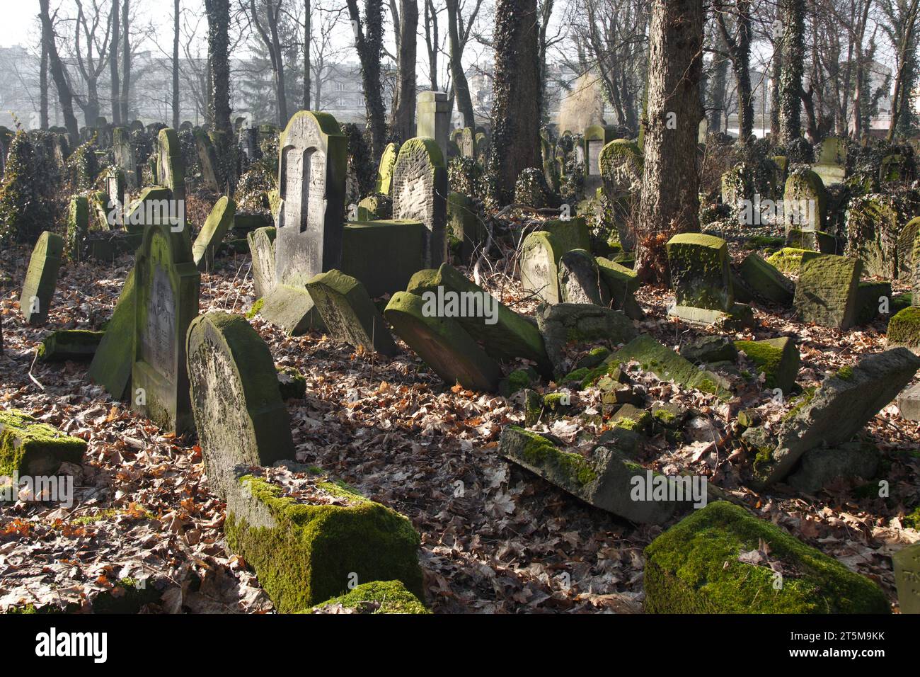 Overgrown cemetery hi-res stock photography and images - Alamy