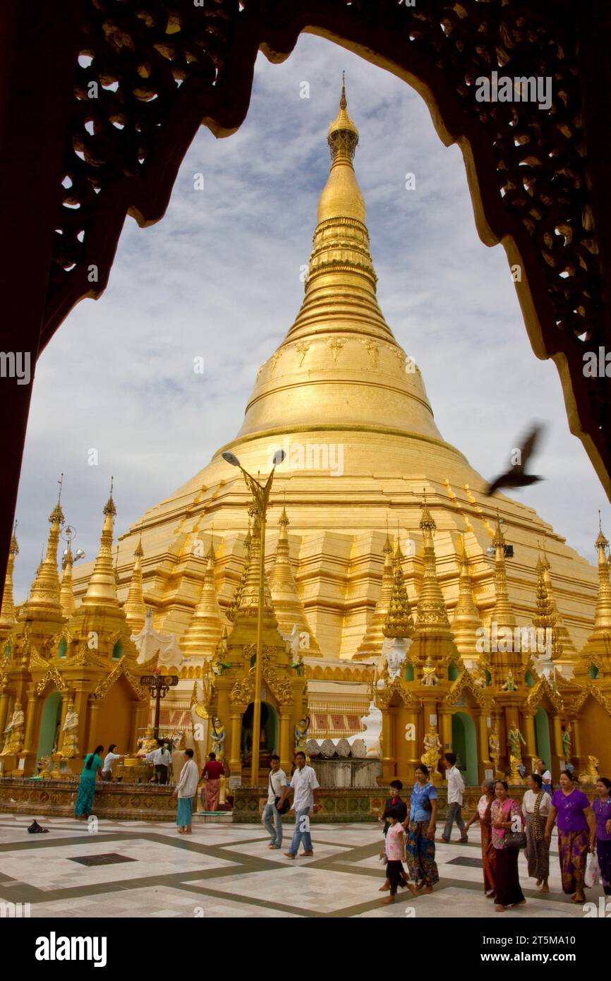 Bird of myanmar hi-res stock photography and images - Alamy