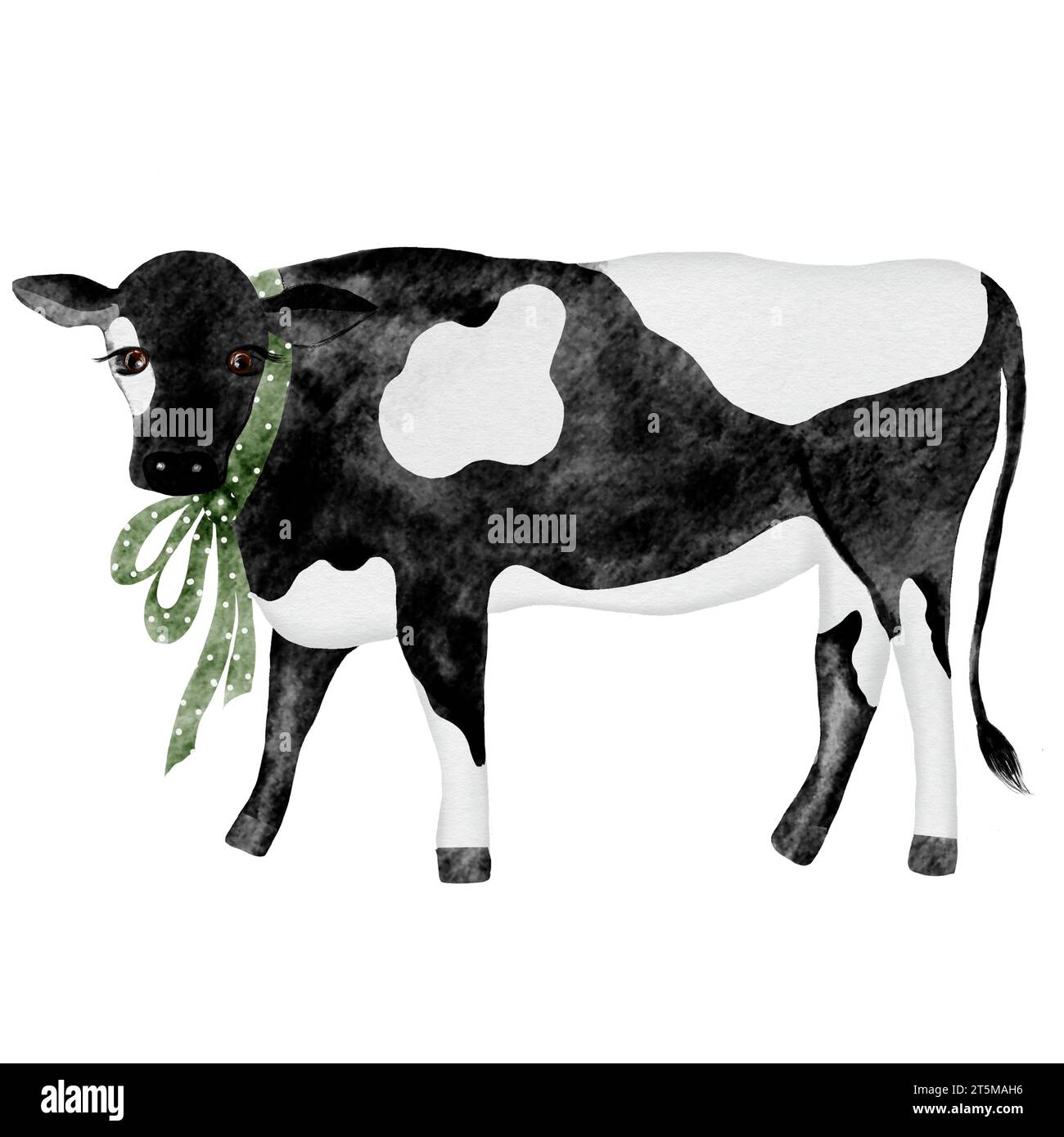 Watercolor drawing, black and white cow with a green bow. Cute ...