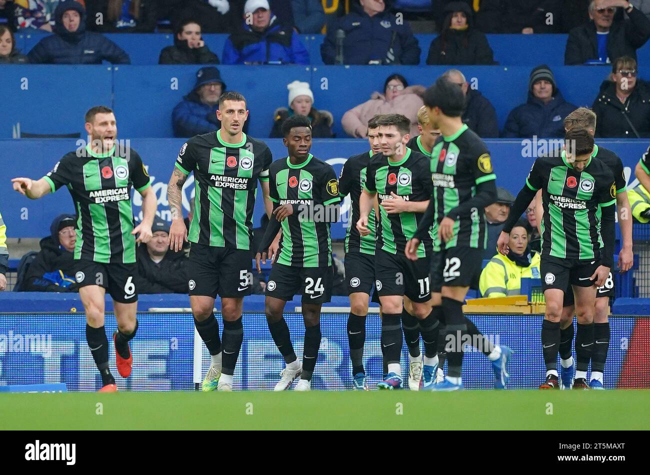 Brighton and Hove Albion's Lewis Dunk celebrates a goal that is ruled ...
