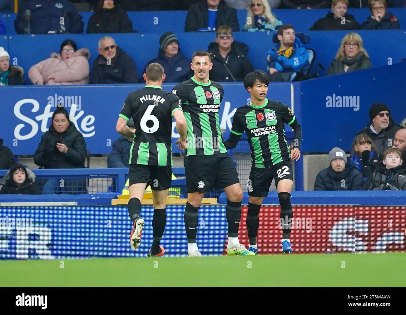 Brighton and Hove Albion's Lewis Dunk celebrates a goal that is ruled ...
