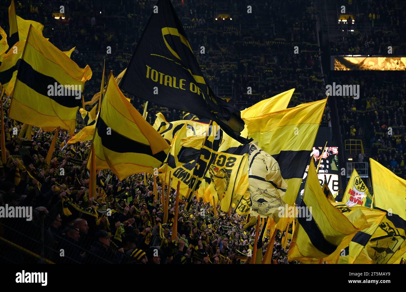 Football fans 2024 hi-res stock photography and images - Alamy