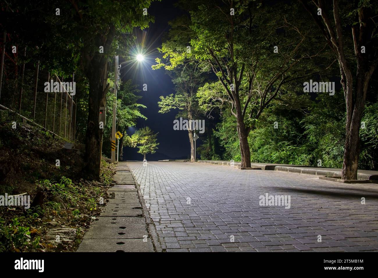 empty path of a straight road at night Stock Photo - Alamy