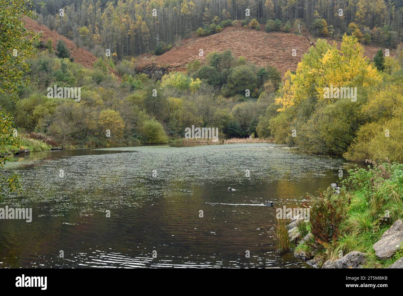 Ringed by footpath hi-res stock photography and images - Alamy