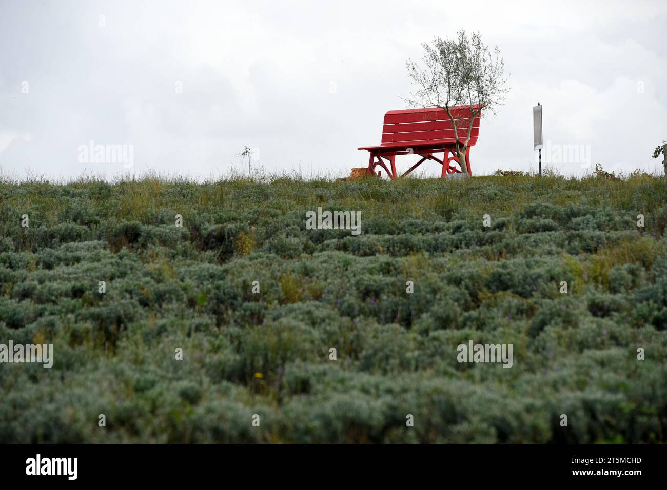 Big bench community project hi-res stock photography and images - Alamy