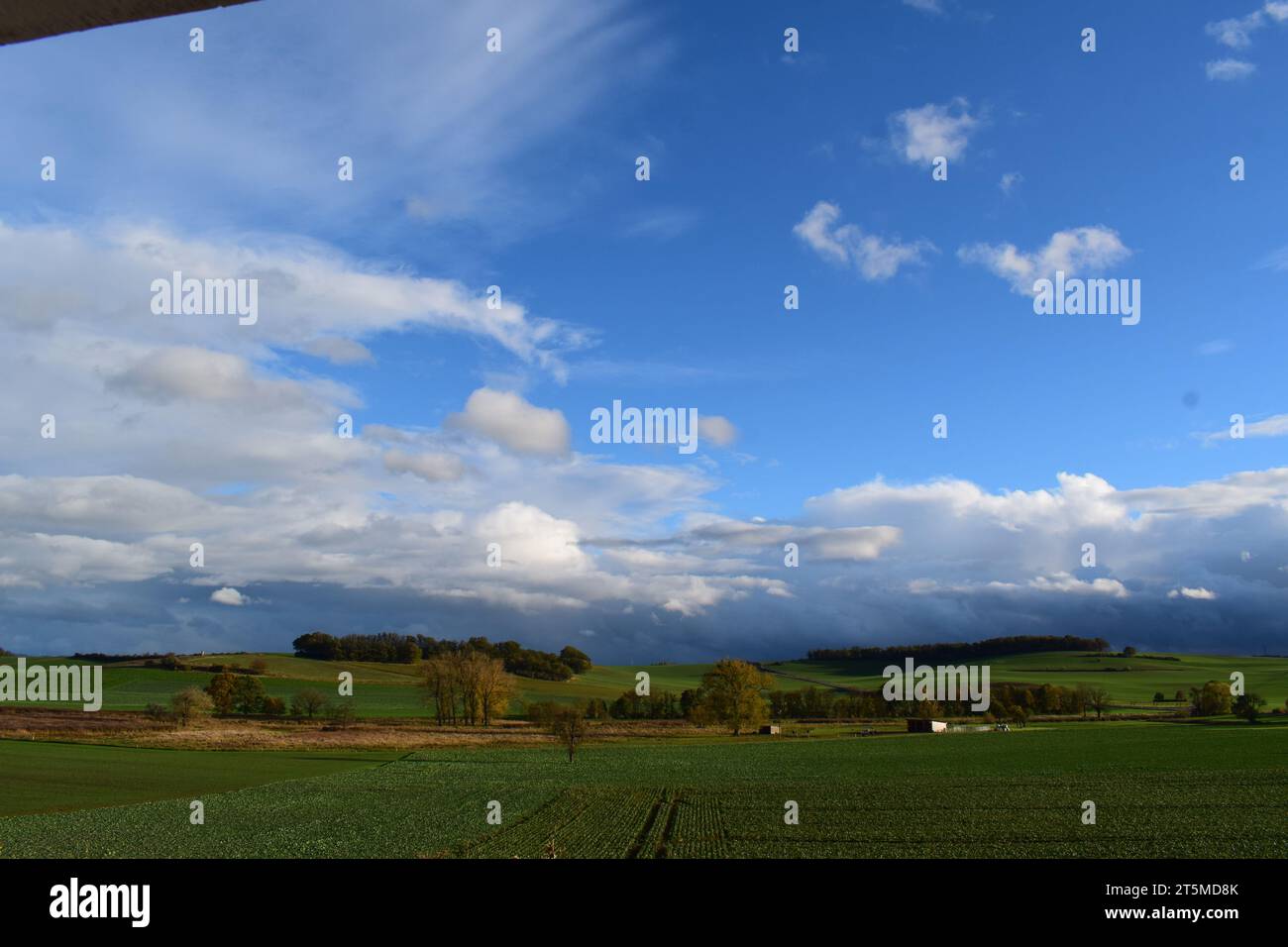 autumn in the Eifel, thürer Wiesen Stock Photo - Alamy
