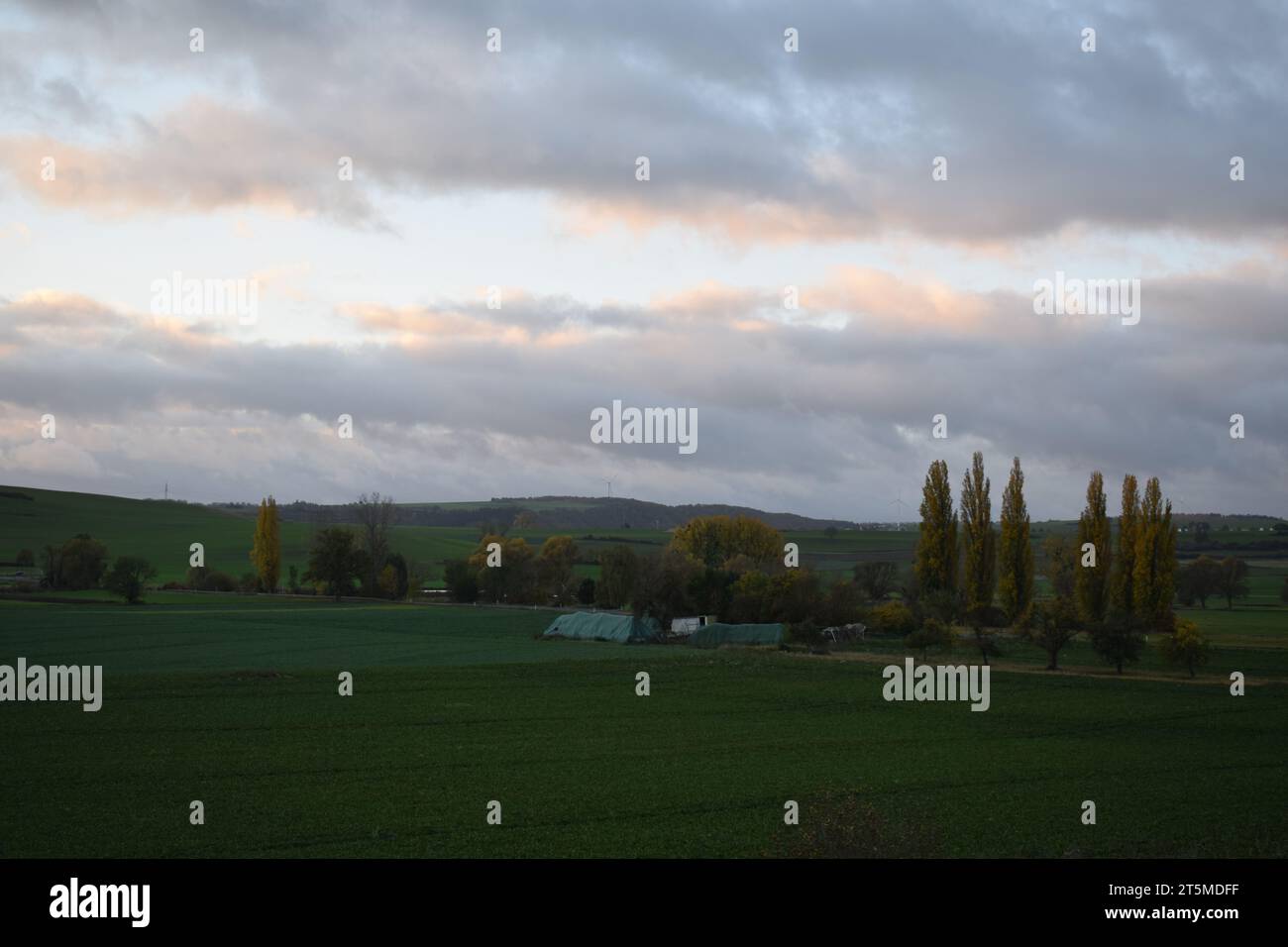 autumn in the Eifel, thürer Wiesen Stock Photo - Alamy