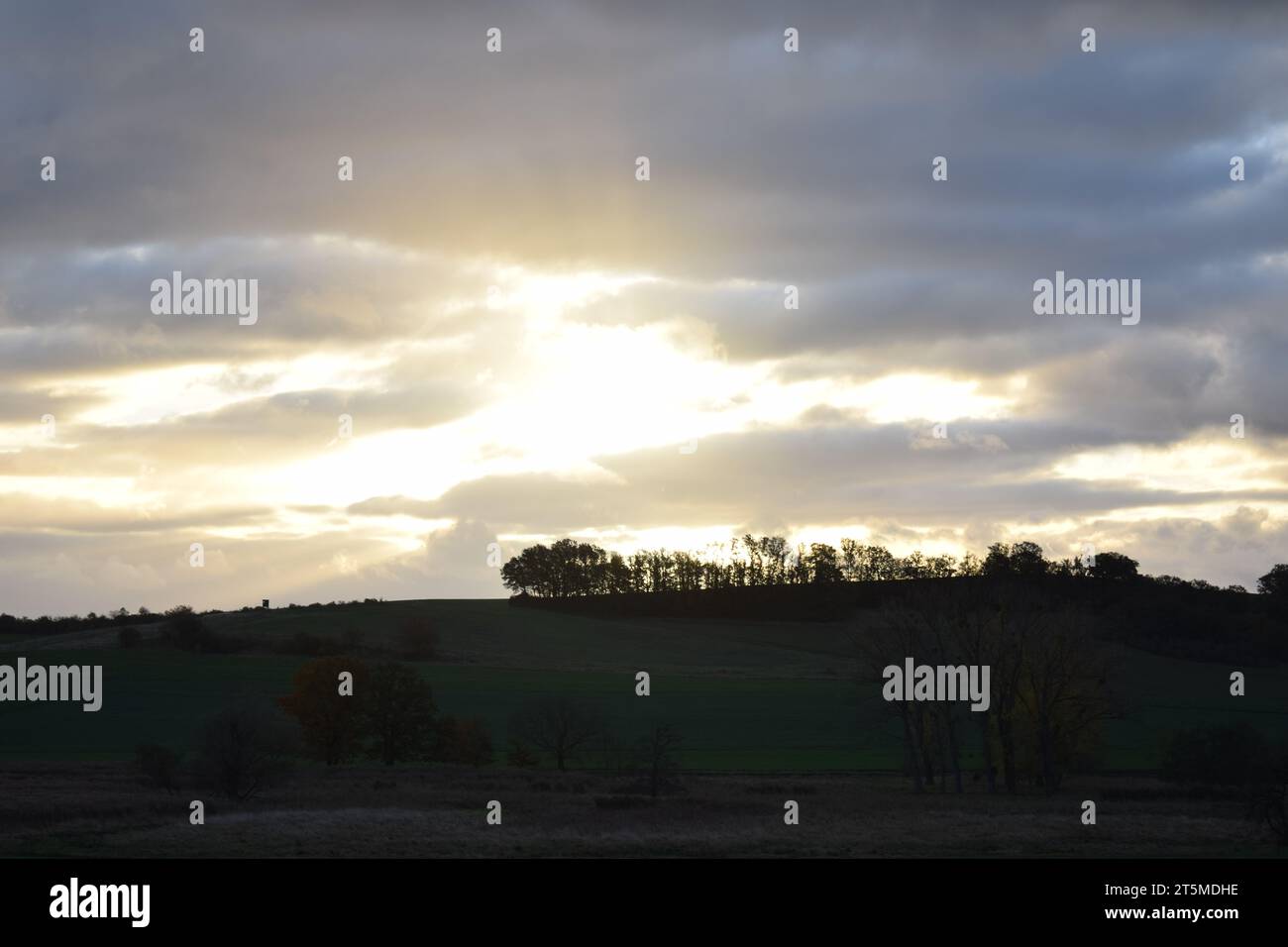 autumn in the Eifel, thürer Wiesen Stock Photo - Alamy
