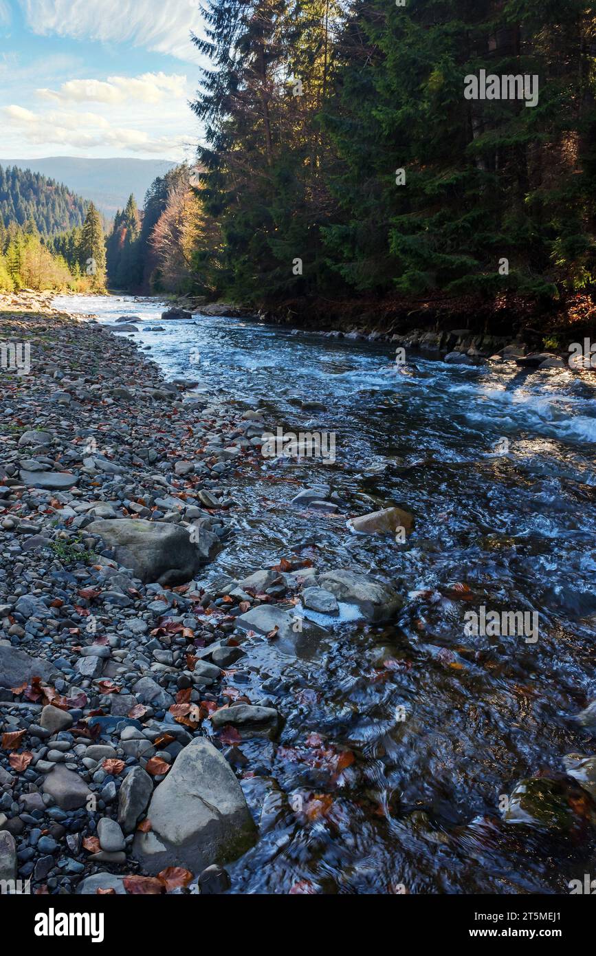 Shallow mountain stream stone shore hi-res stock photography and images ...