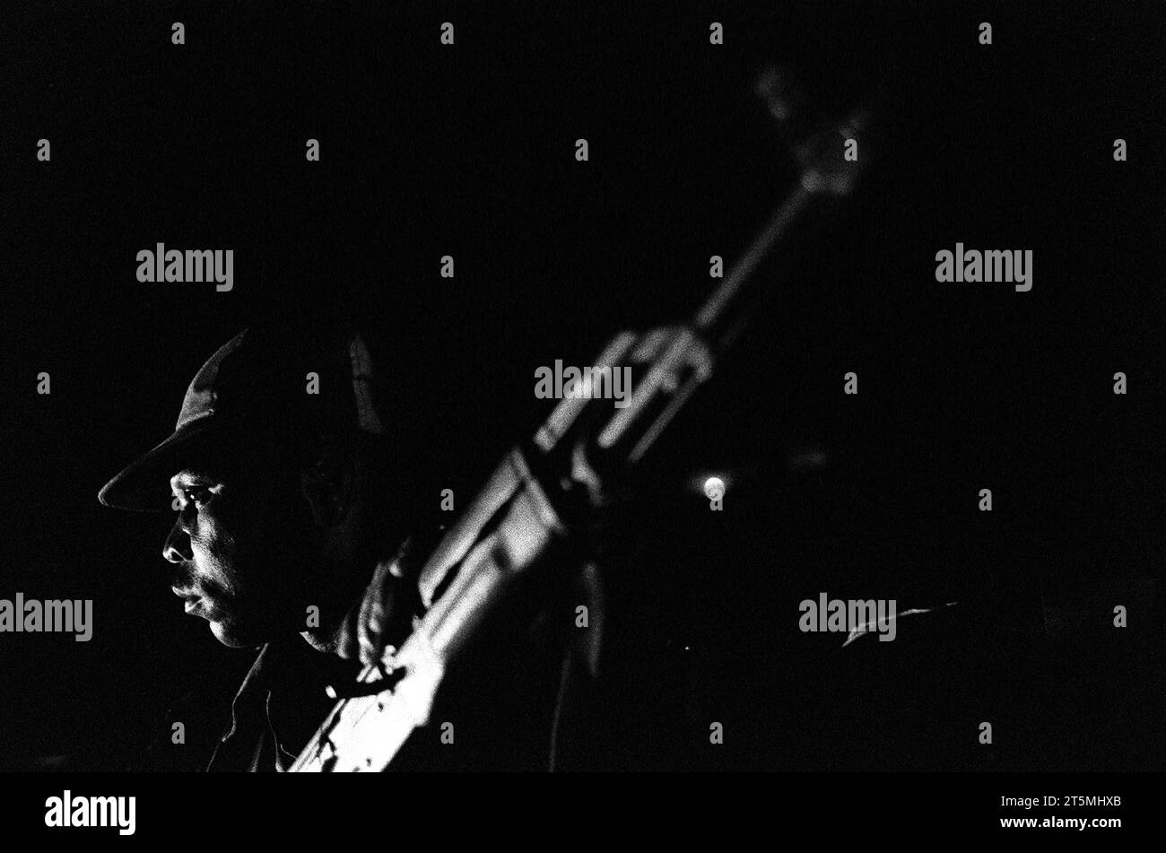 Ecomog hi-res stock photography and images - Alamy