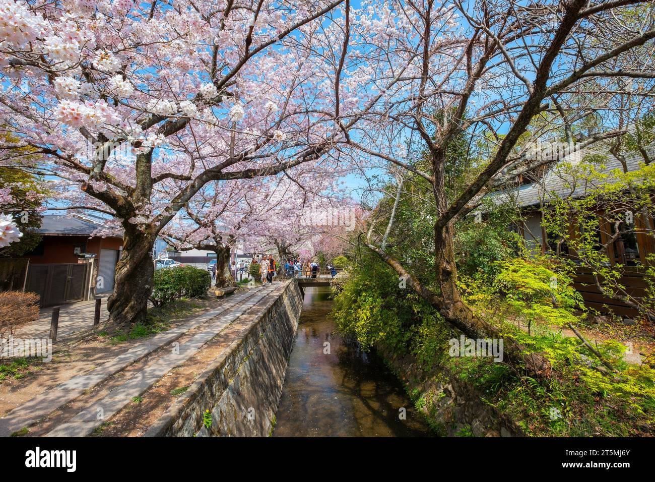 Kyoto, Japan - March 30 2023: The Philosopher's Path is a stone path ...