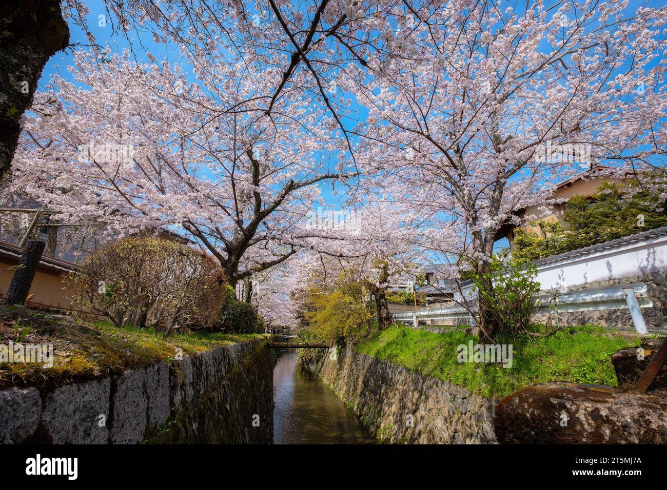 Kyoto, Japan - March 30 2023: The Philosopher's Path is a stone path ...